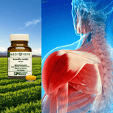 Natural Health Gateway - Buy Standard Process® Vitamins & Supplements