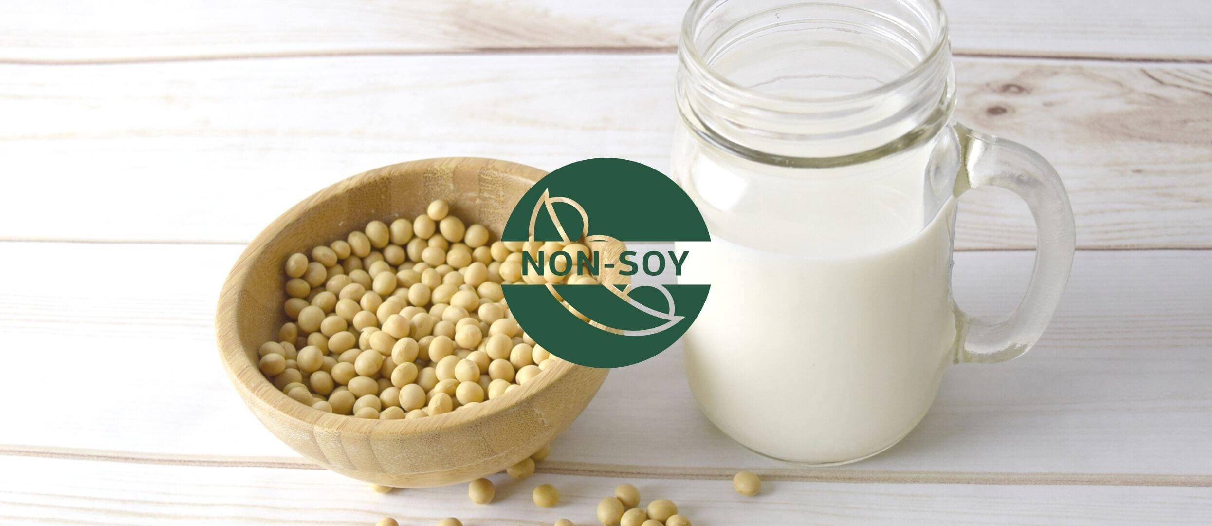 Non-Soy Formula Supplements | Buy Standard Process Online – Natural ...